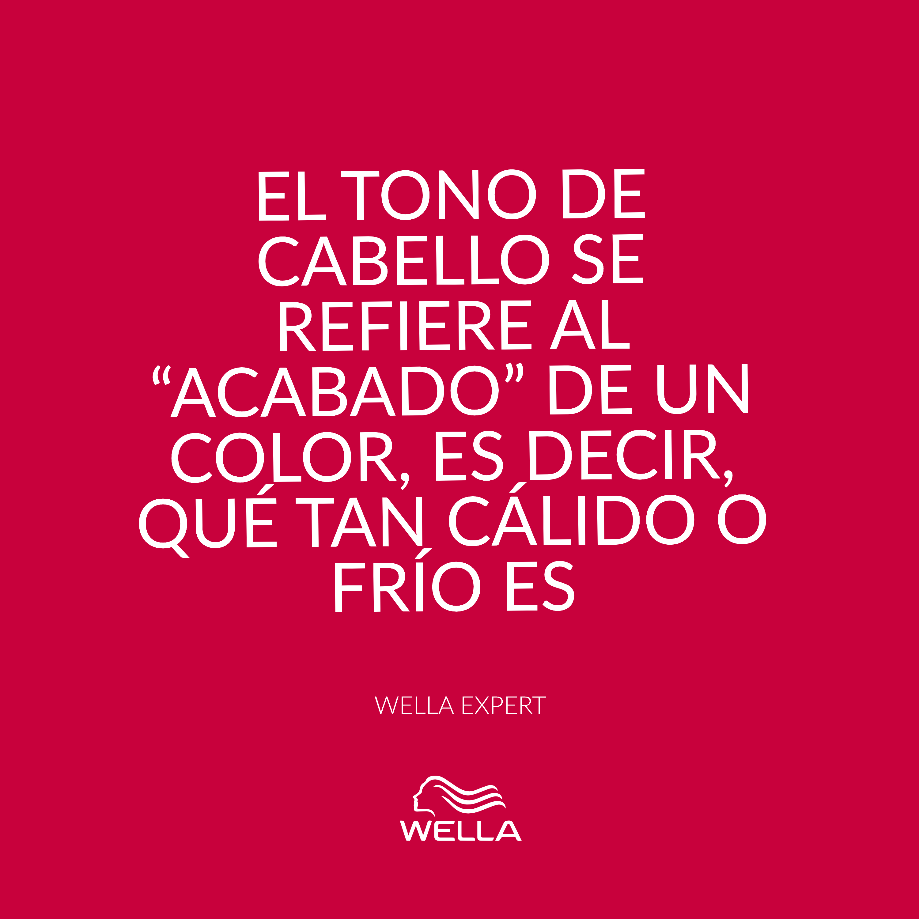 ¿Quieres obtener un color de cabello perfecto? Toma en cuenta los ...